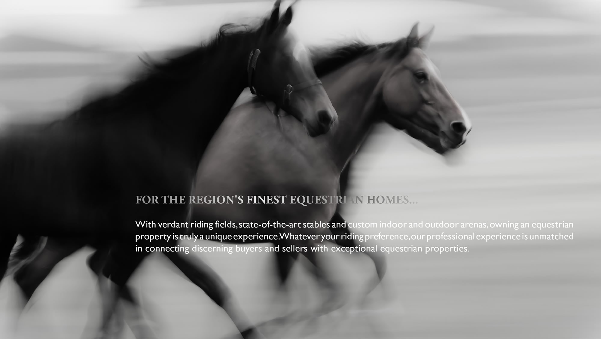 Estate Agents based in the North West | Arnold & Phillips Estate Agents